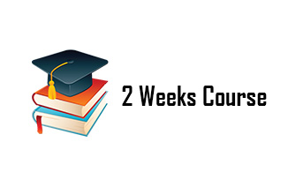 Child Care Course Archives - TWC Institute